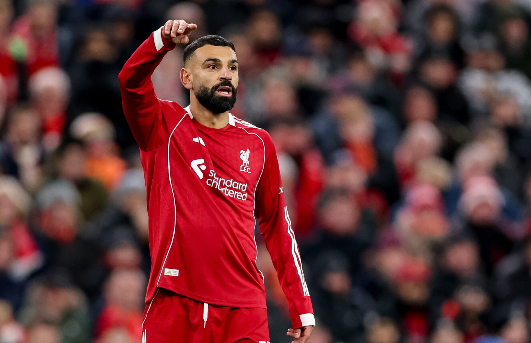 Undskylder over for Mohamed Salah
